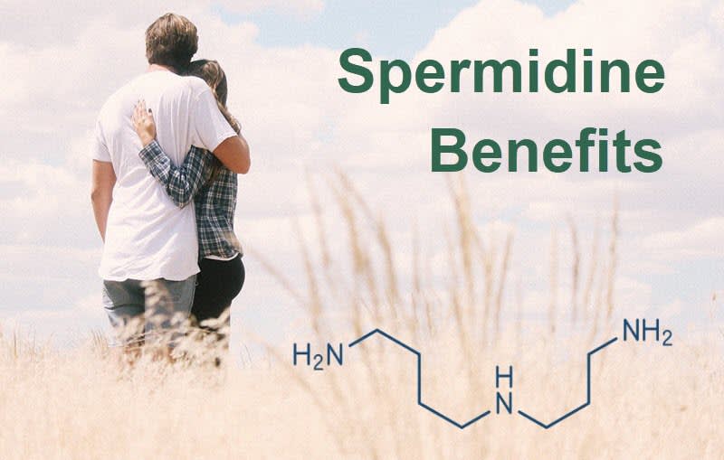 The Anti-Aging Benefits of Spermidine For Longevity and Wellness