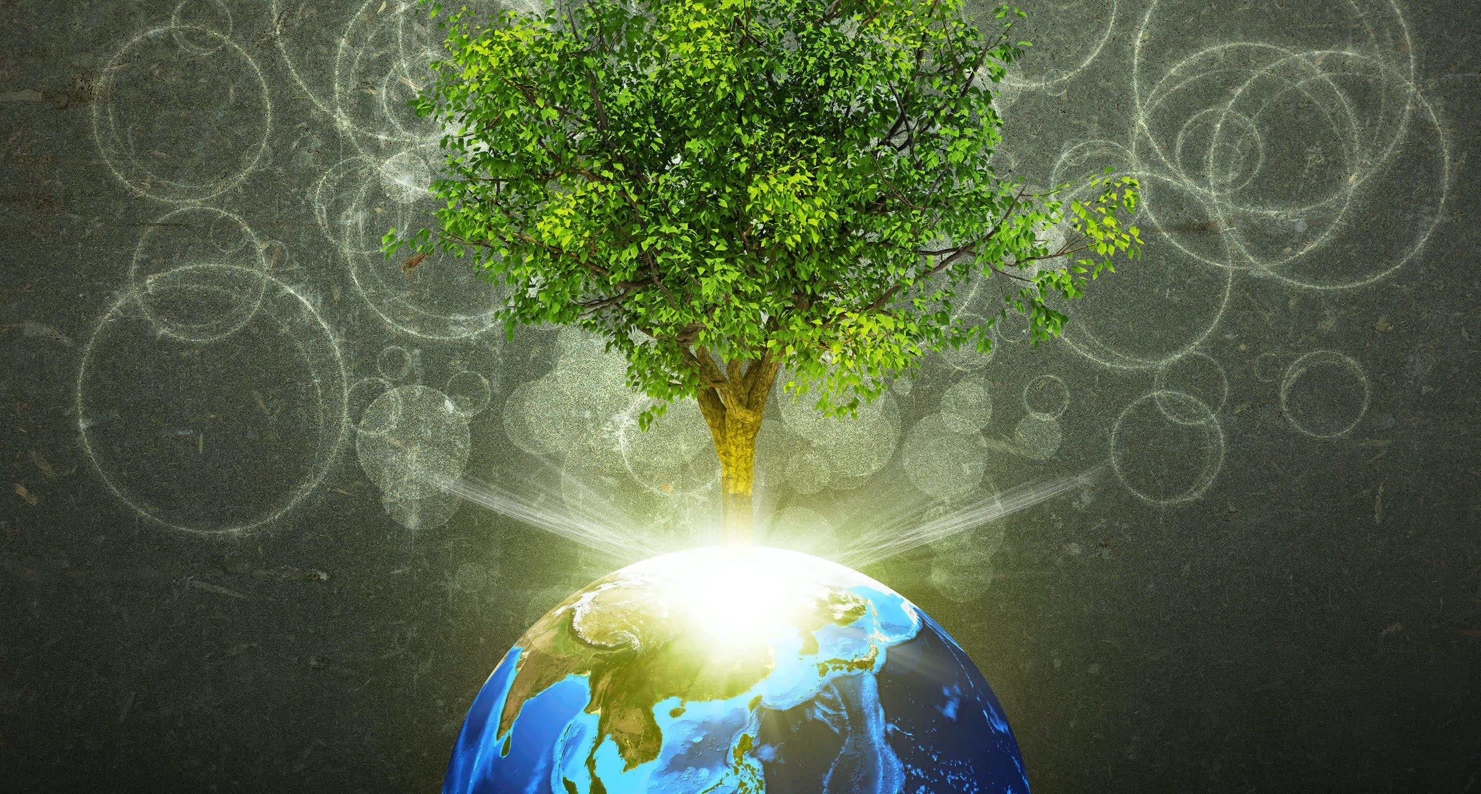 Holotropic Breathwork Workshop in ANTWERPEN (B) 25th - 27th July 2025