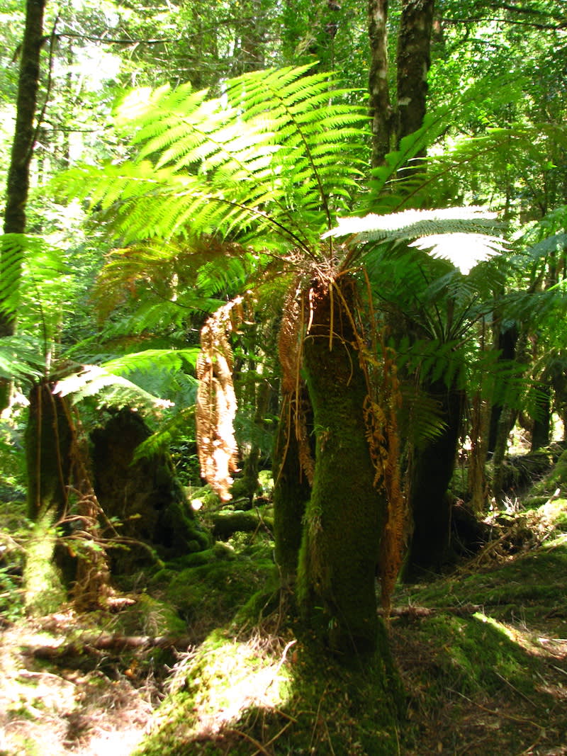 Hobart Double Breathwork weekend with Vicky Nicholson