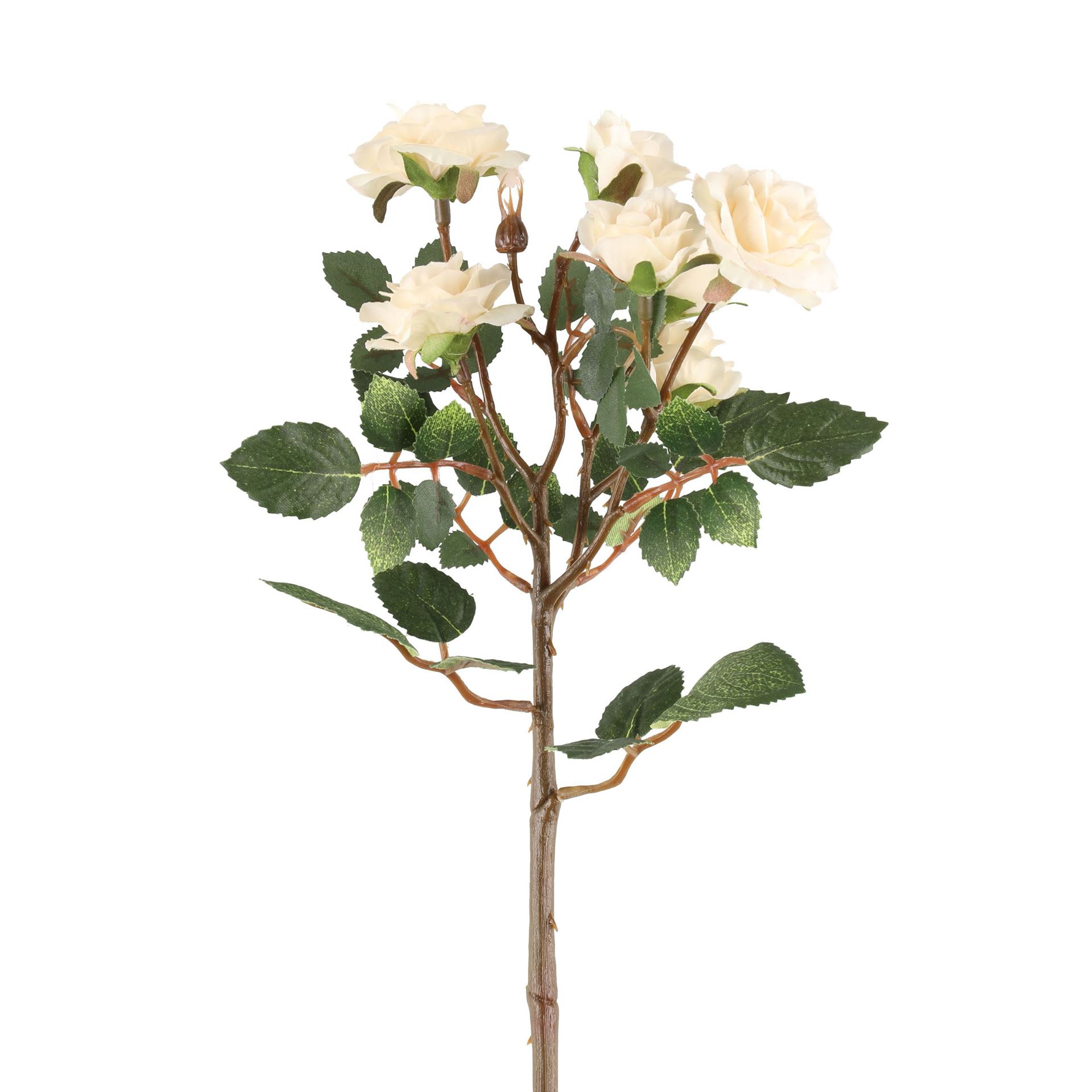 Blomst mini rose hvit Festival.no