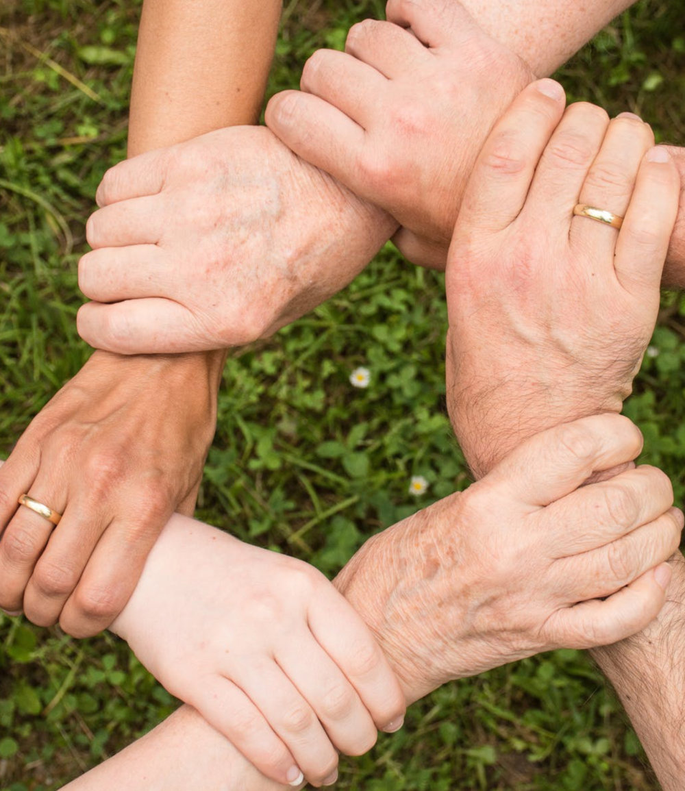 About | Functional Family Therapy
