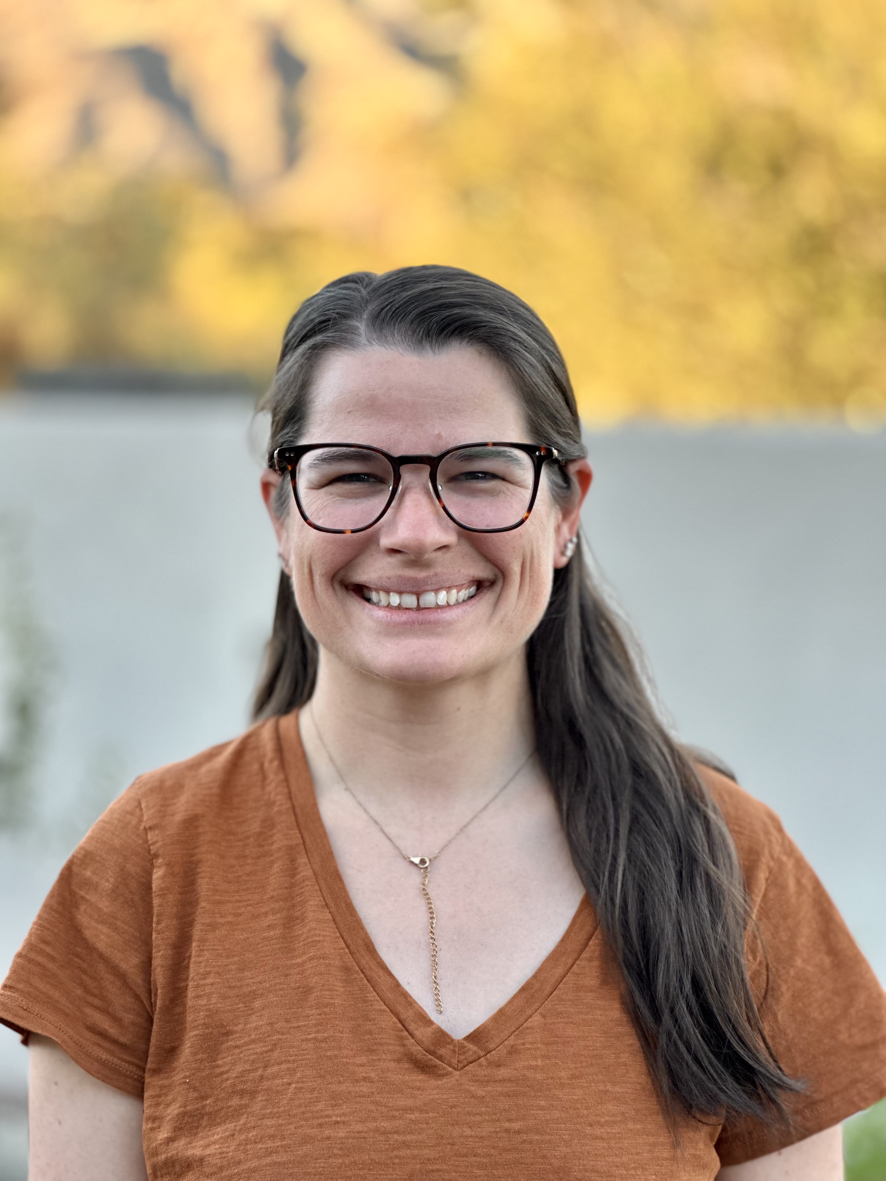 About | Functional Family Therapy