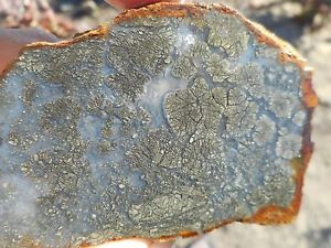 Very Goods | Marcasite Gorgeous Rough Slab Nipomo California A5 | eBay