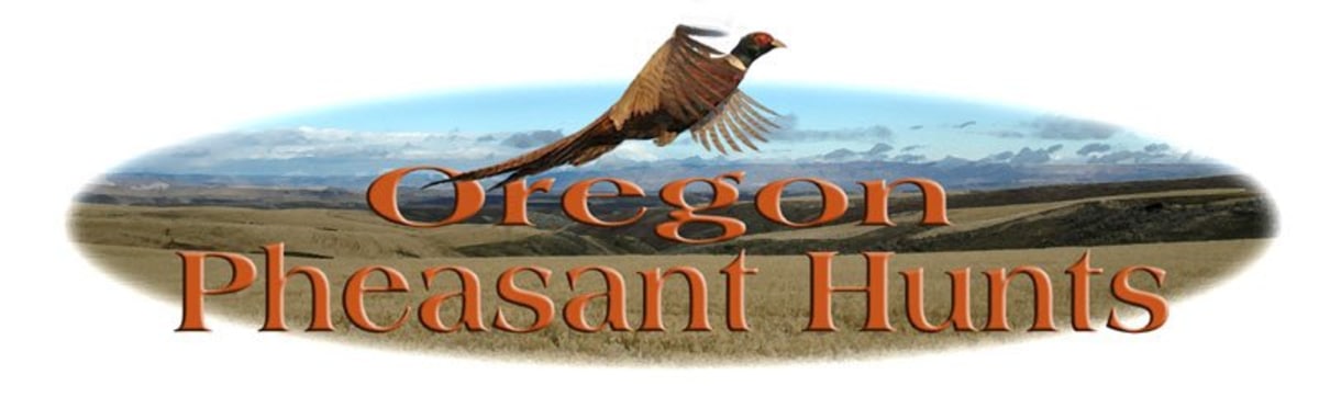 Hunt with Oregon Pheasant Hunts | Fin & Field