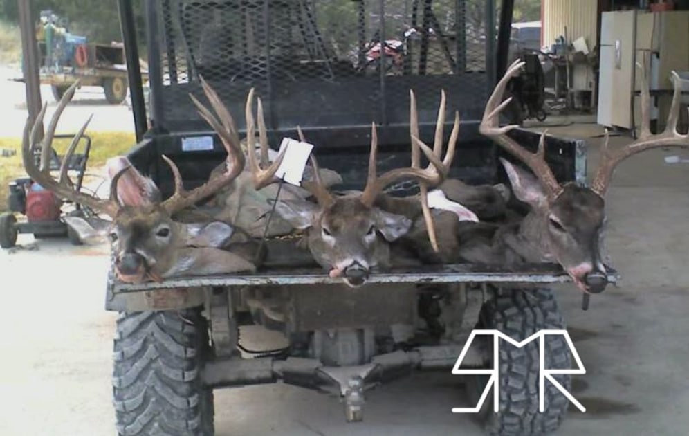 Hunt with Sierra Mesa Ranch | Fin & Field