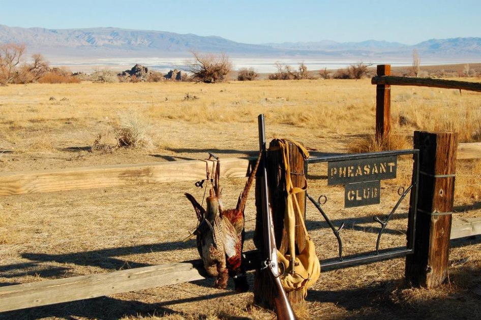 Hunt with Lone Pine Pheasant Club | Fin & Field
