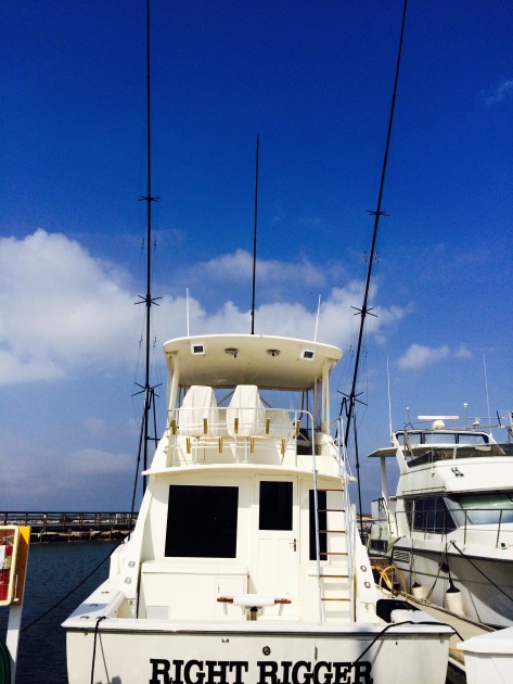 Fish with Right Rigger Sportfishing | Fin & Field