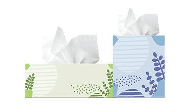 FIORA® Brand Toilet Paper, Paper Towels and Facial Tissues
