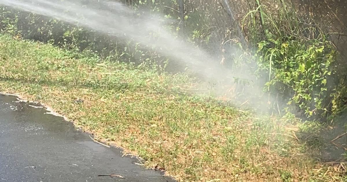 Bush Fire - Tweed Heads South - Fire and Rescue NSW