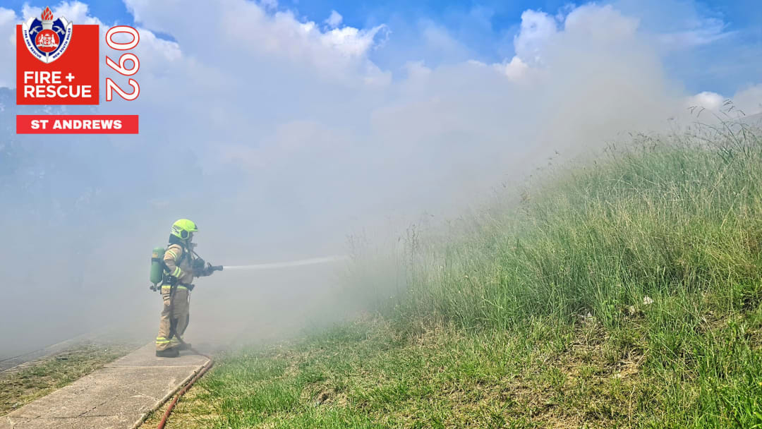 Grass fire - MINTO - Fire and Rescue NSW
