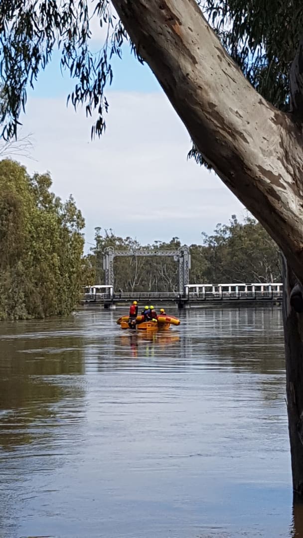 FRNSW helps rescue native animals trapped in floodwaters - VIDEO ...