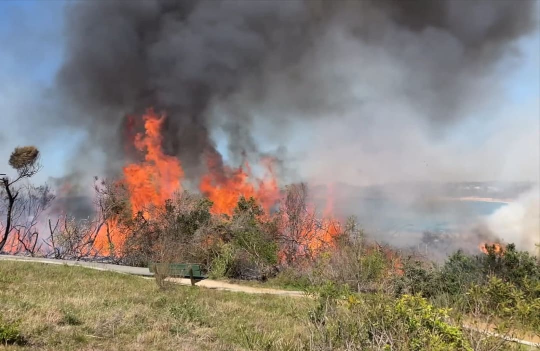 Hazard reduction operation reduces bushfire risk - VIDEO - Mona Vale ...