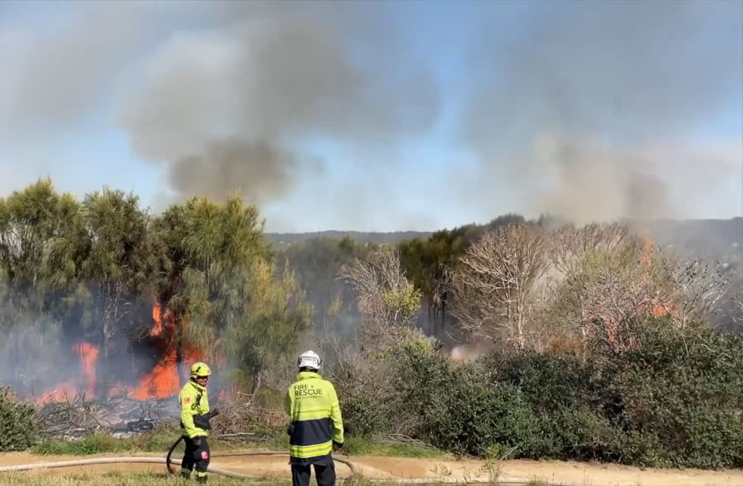Hazard reduction operation reduces bushfire risk - VIDEO - Mona Vale ...