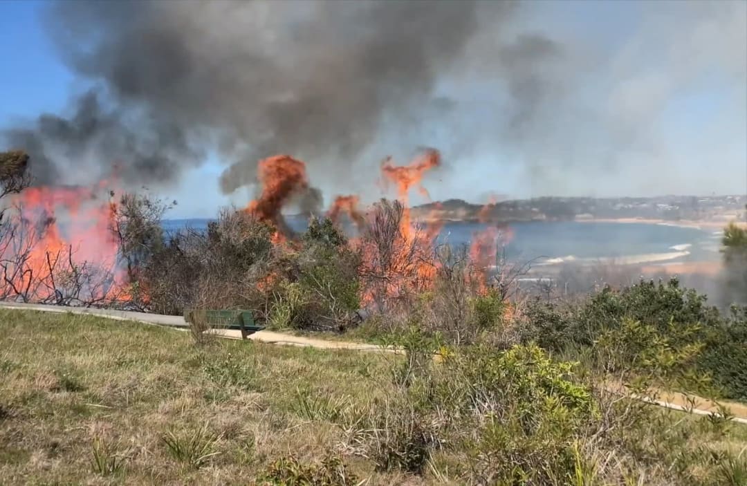 Hazard reduction operation reduces bushfire risk - VIDEO - Mona Vale ...