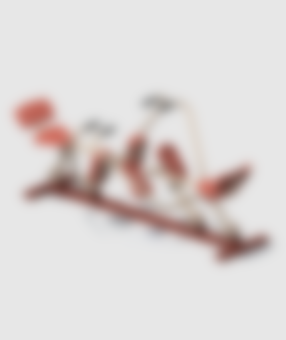 Outdoor Double Rower Machine