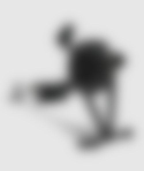 Force USA R3 Air Rower