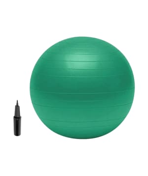 55cm Physio Ball with Pump
