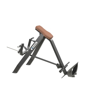 Incline Lever Row
