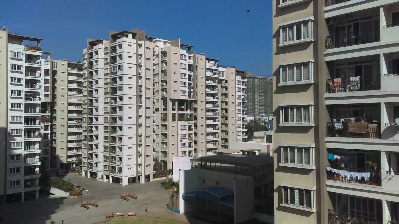 Fortune Fields's Instagram, Twitter & Facebook on IDCrawl