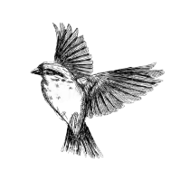 Can a reinvented monarchy retain its capacity to inspire? | The Fledger