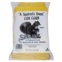 dried corn cobs for squirrels