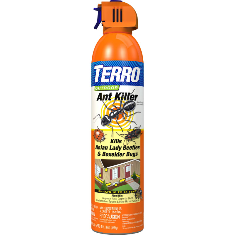 Terro T1900-6 Carpenter Ant Termite Killer Aerosol, 16 Oz, 46% OFF Terro T1900-6 Carpenter Ant Termite Killer Aerosol, 16 Oz, 46% OFF