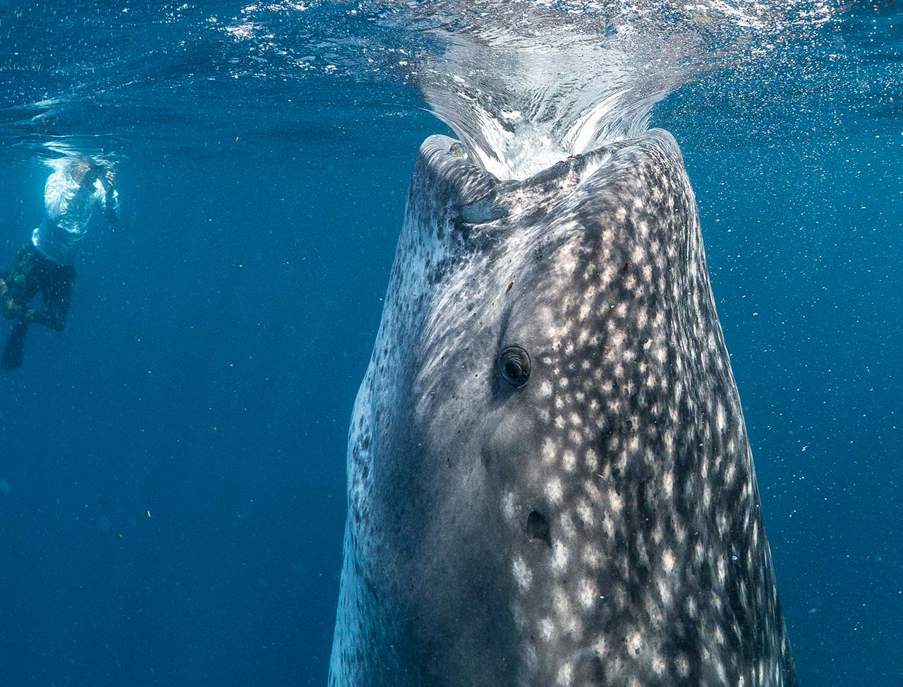 Picfair: A New Home for Photography | Home | Picfair