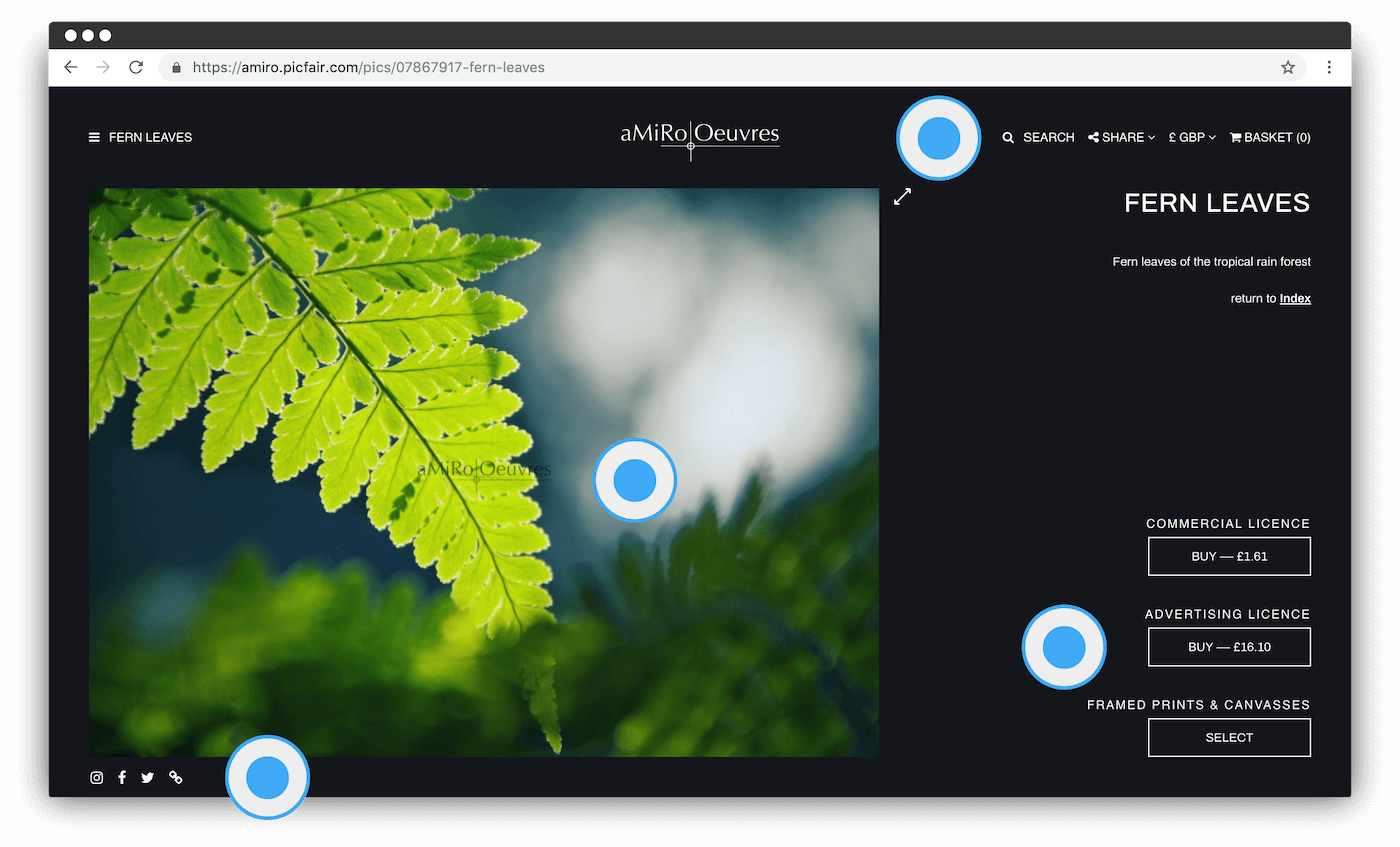 Build your own photography store | Picfair Plus | Picfair