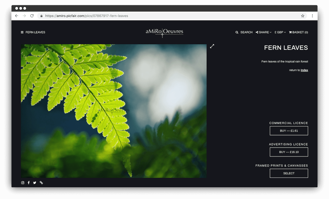 Build your own photography store | Picfair Plus | Picfair