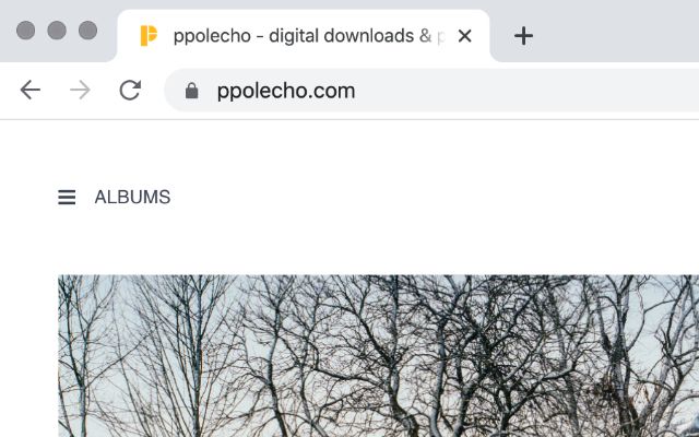 Build your own photography store | Picfair Plus | Picfair