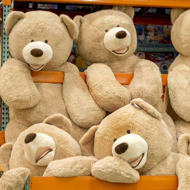 Giant Plush Teddy Bears Big Teddy Bear Large Huge Stuffed Bear XXL | atelier-yuwa.ciao.jp