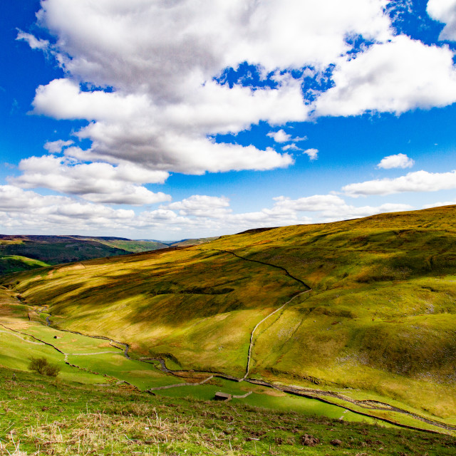 Purchase digital downloads and a range of printed products of Peter and ...