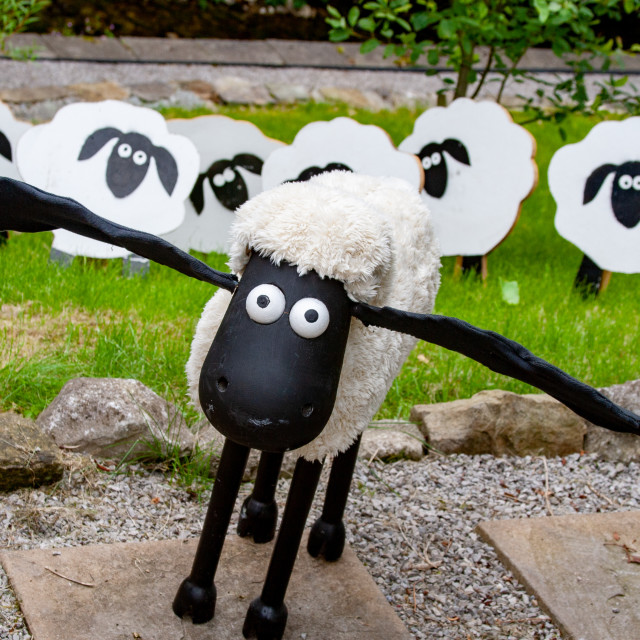 Purchase digital downloads and a range of printed products of Peter and ...