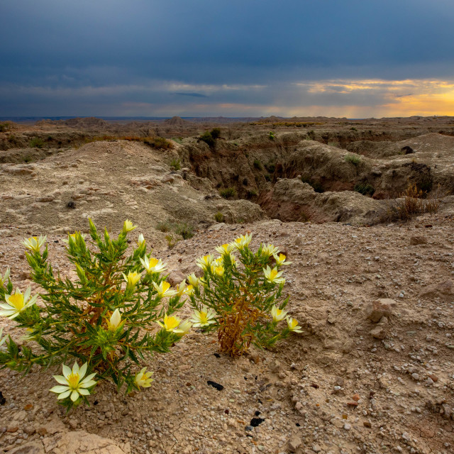 Scenic Landscapes, an album by Dennis Laughlin - digital downloads ...