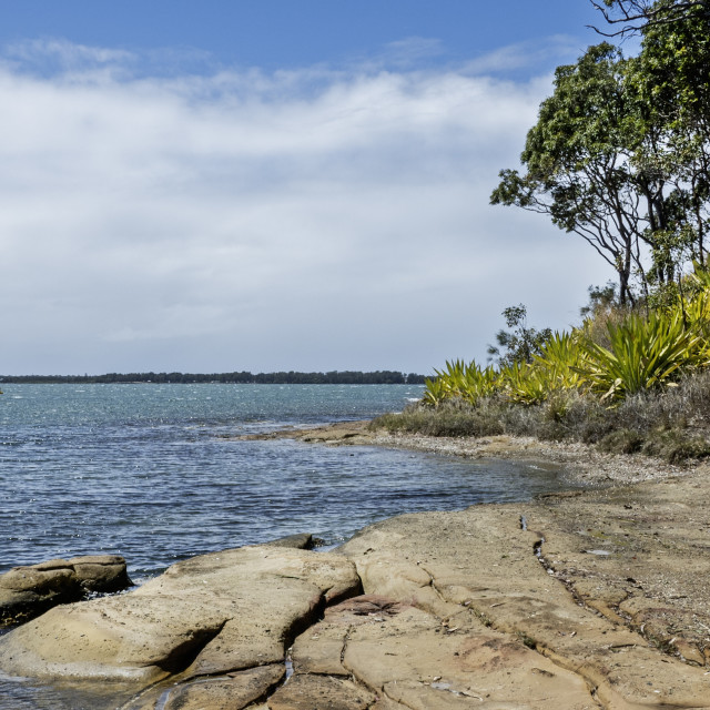 Bev Wilson Photography - digital downloads & prints