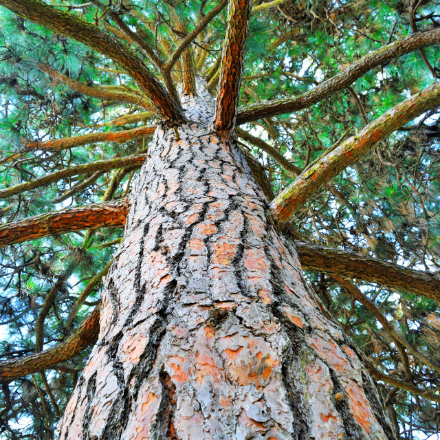 Bev Wilson Photography - digital downloads & prints