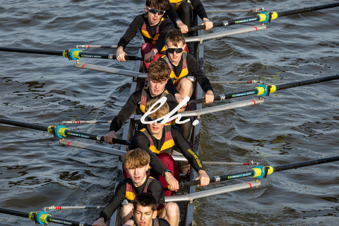 quintin head by lauren hazel - buy prints & digital downloads