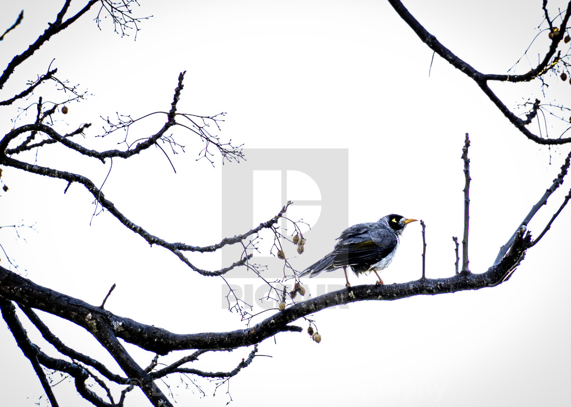 Bev Wilson Photography - buy prints & digital downloads