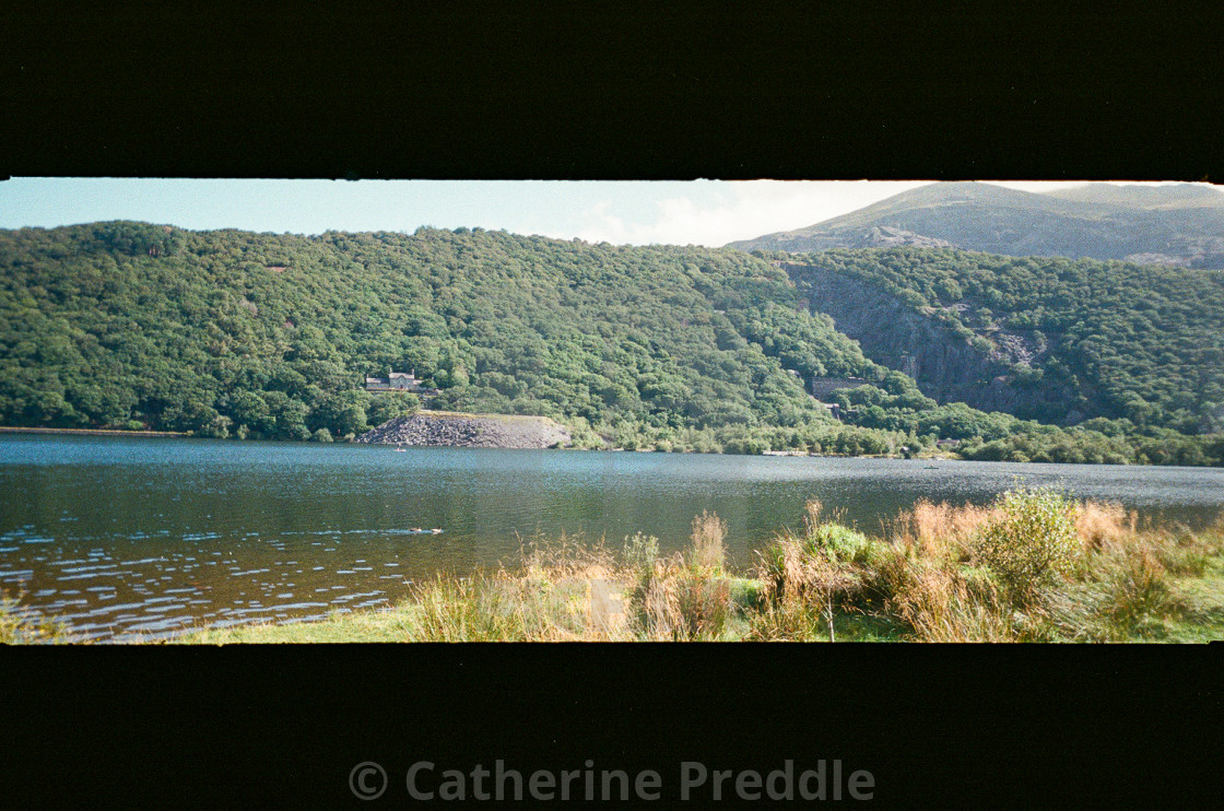 Catherine Preddle - buy prints & digital downloads