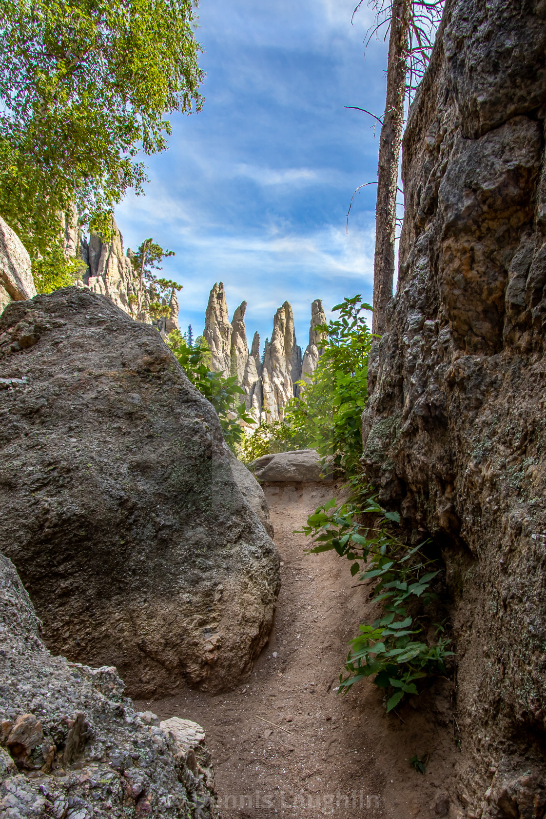 Scenic Landscapes, an album by Dennis Laughlin - digital downloads ...