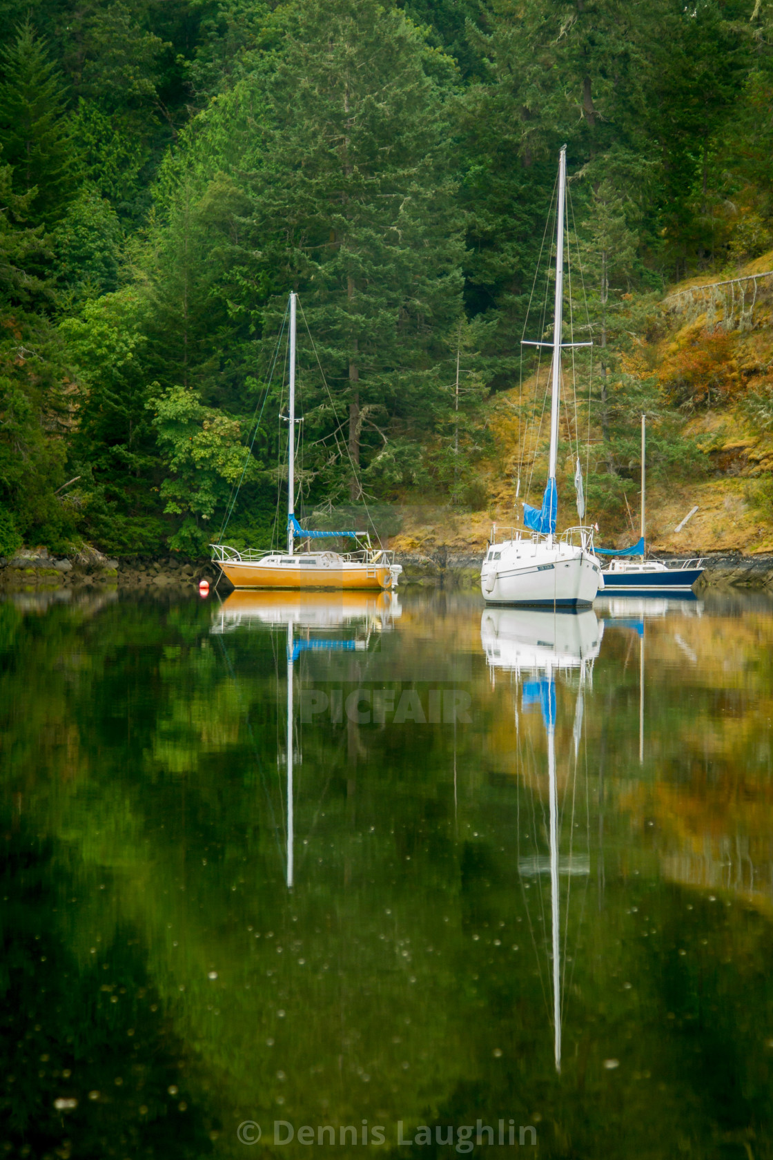 Scenic Landscapes, an album by Dennis Laughlin - digital downloads ...