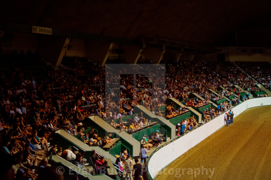 Evan Bulber Photography - buy prints & digital downloads