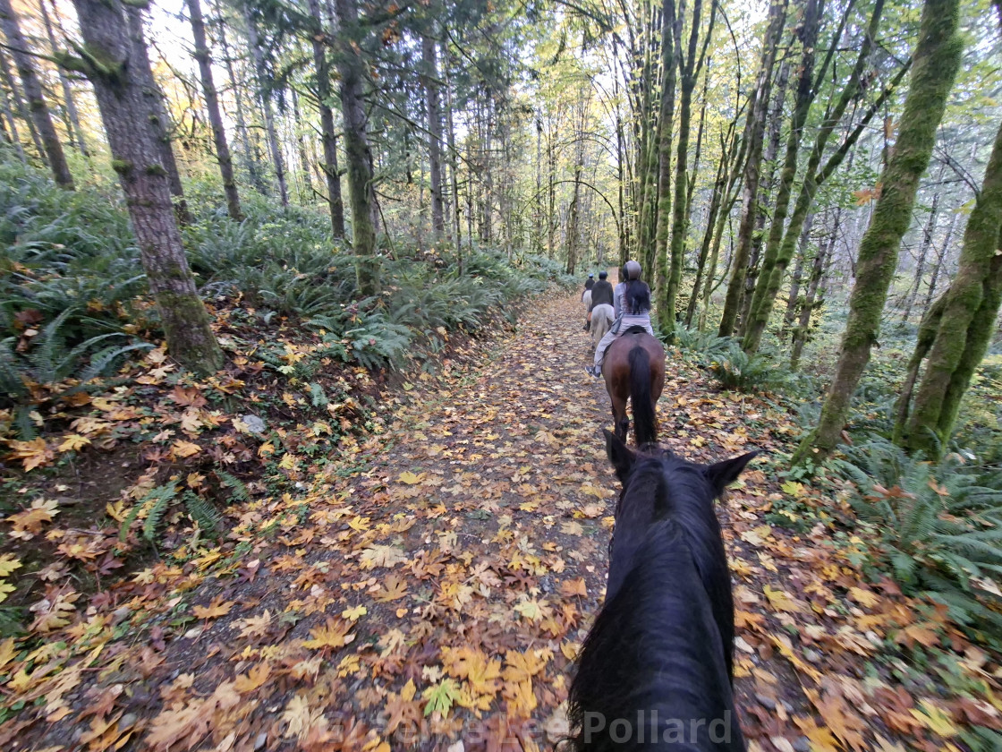 Graeme Lee Pollard - buy prints & digital downloads