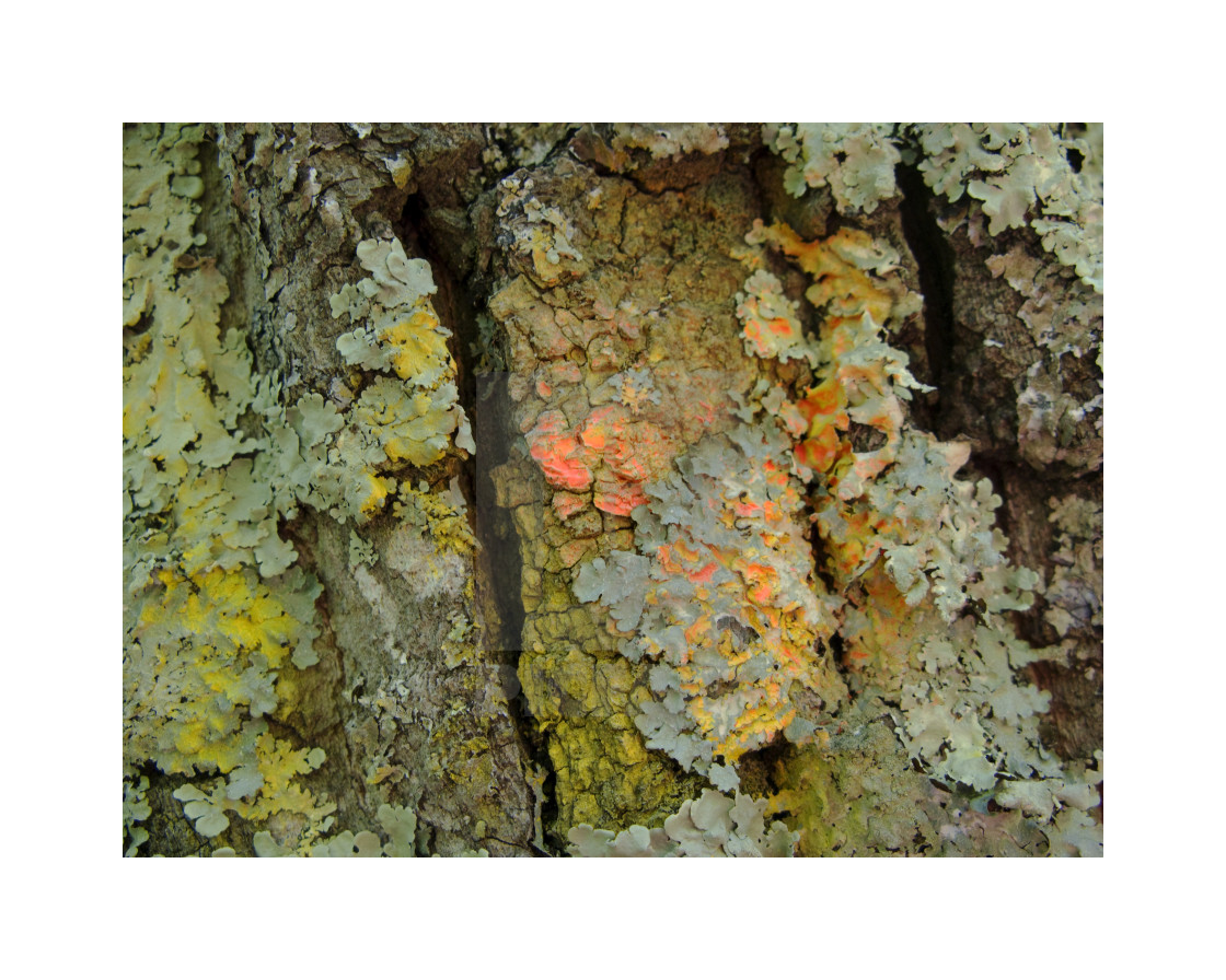 Up the River by Kat Caverly - buy prints & digital downloads