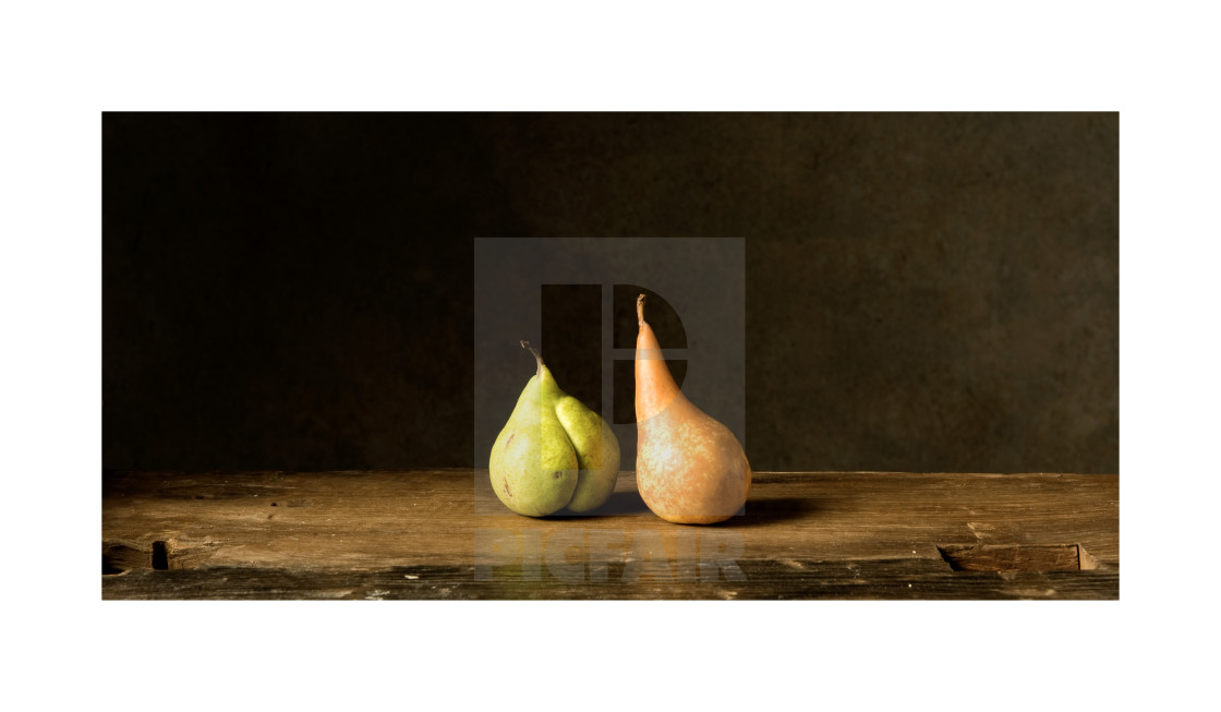 Still Lifes by Kat Caverly - buy prints & digital downloads