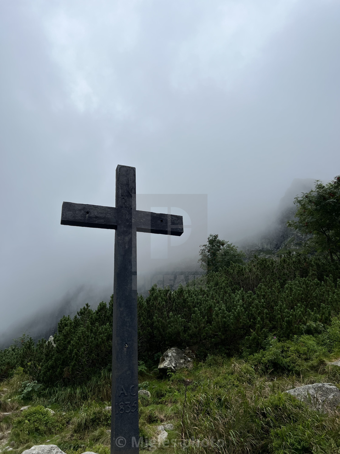 Migles-photo - digital downloads & prints