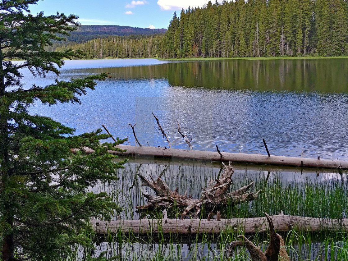 Crème de la crème by Mike Van Nattan - buy prints & digital downloads