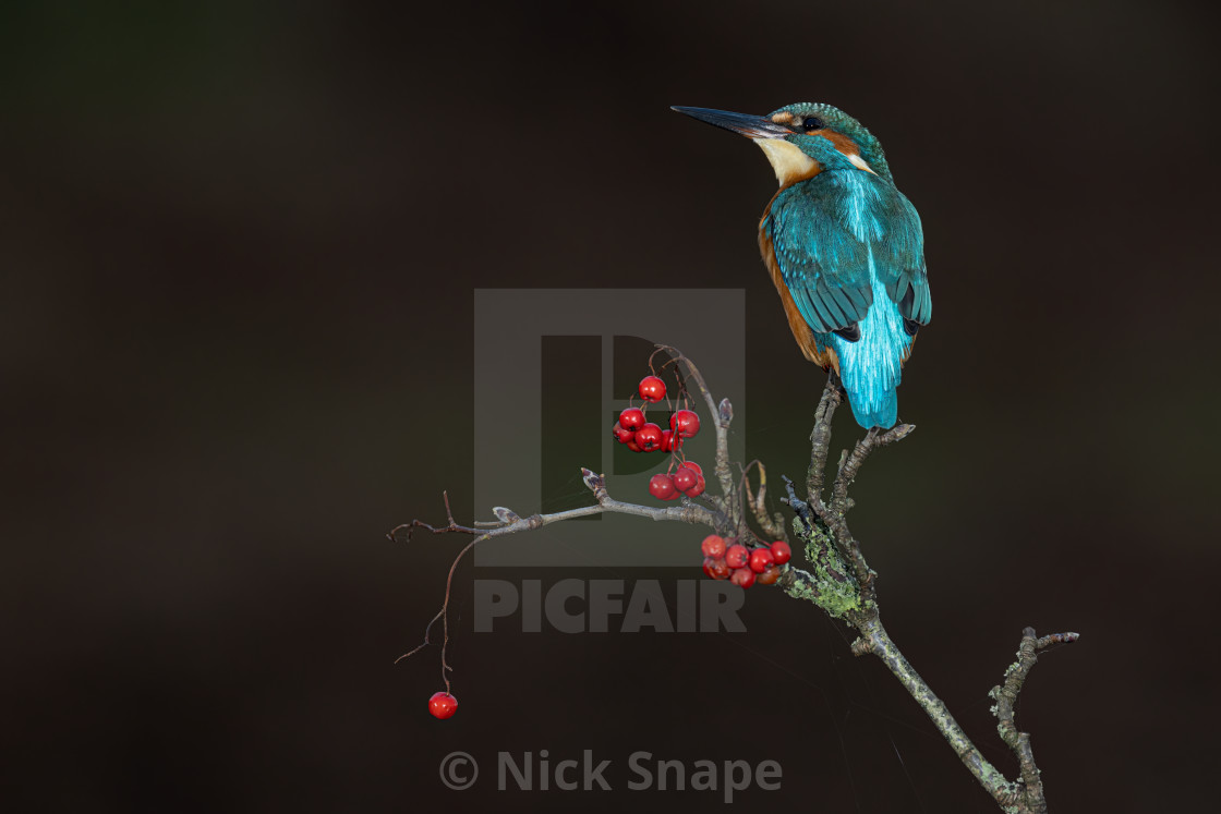 Nick Snape - buy prints & digital downloads