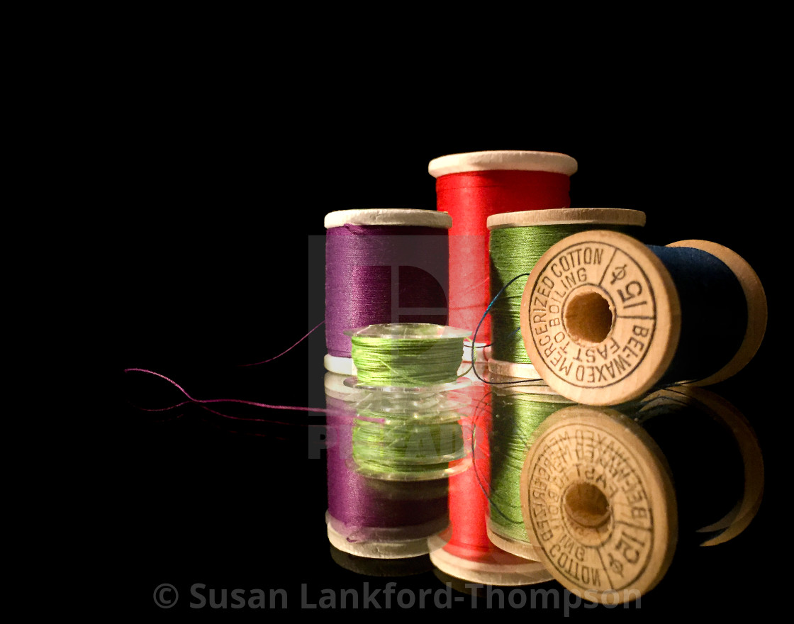 Susan Lankford-Thompson - buy prints & digital downloads
