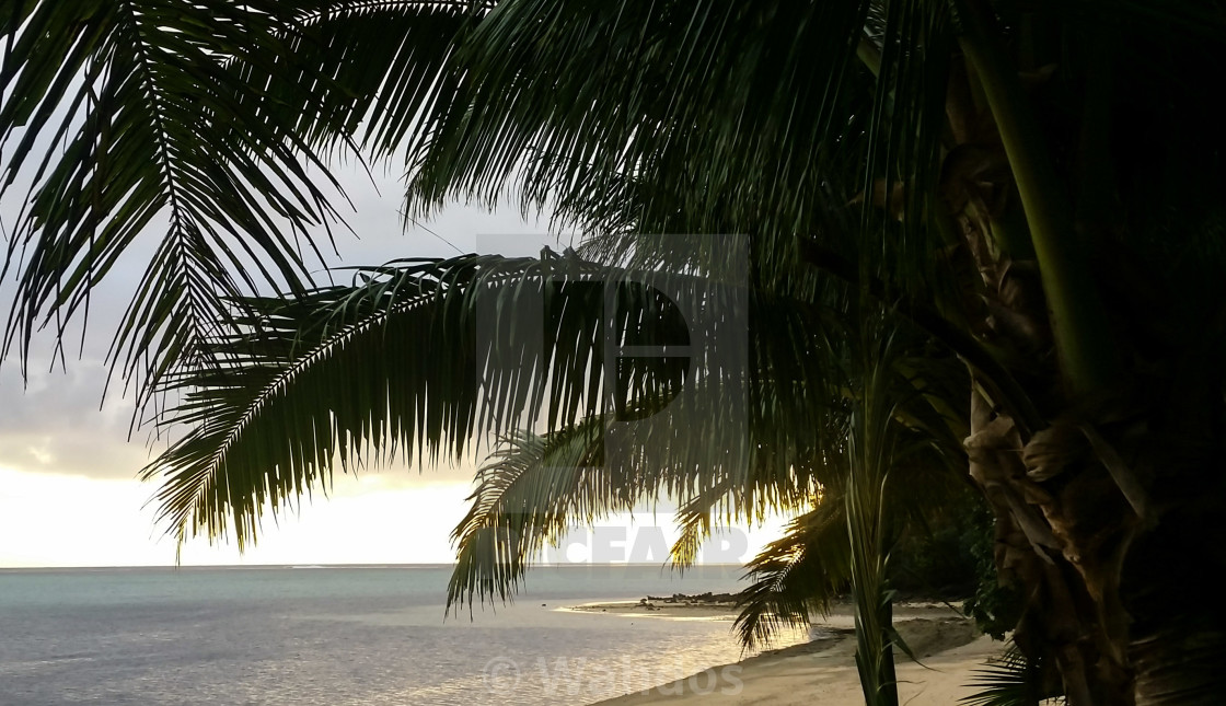 Fiji by Wahdos - buy prints & digital downloads